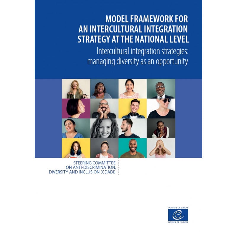 Model framework for an intercultural integration strategy at the ...