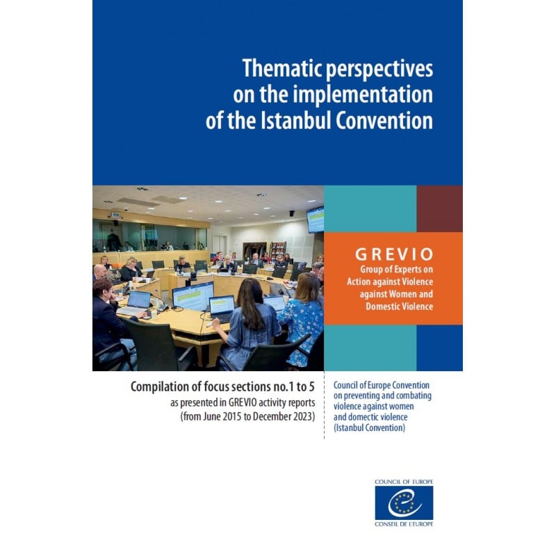 Thematic perspectives on the implementation of the Istanbul Convention