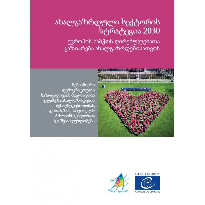 Leaflet - ახალგაზრდული სექტორის სტრატეგია 2030 - ევროპის საბჭოს ...